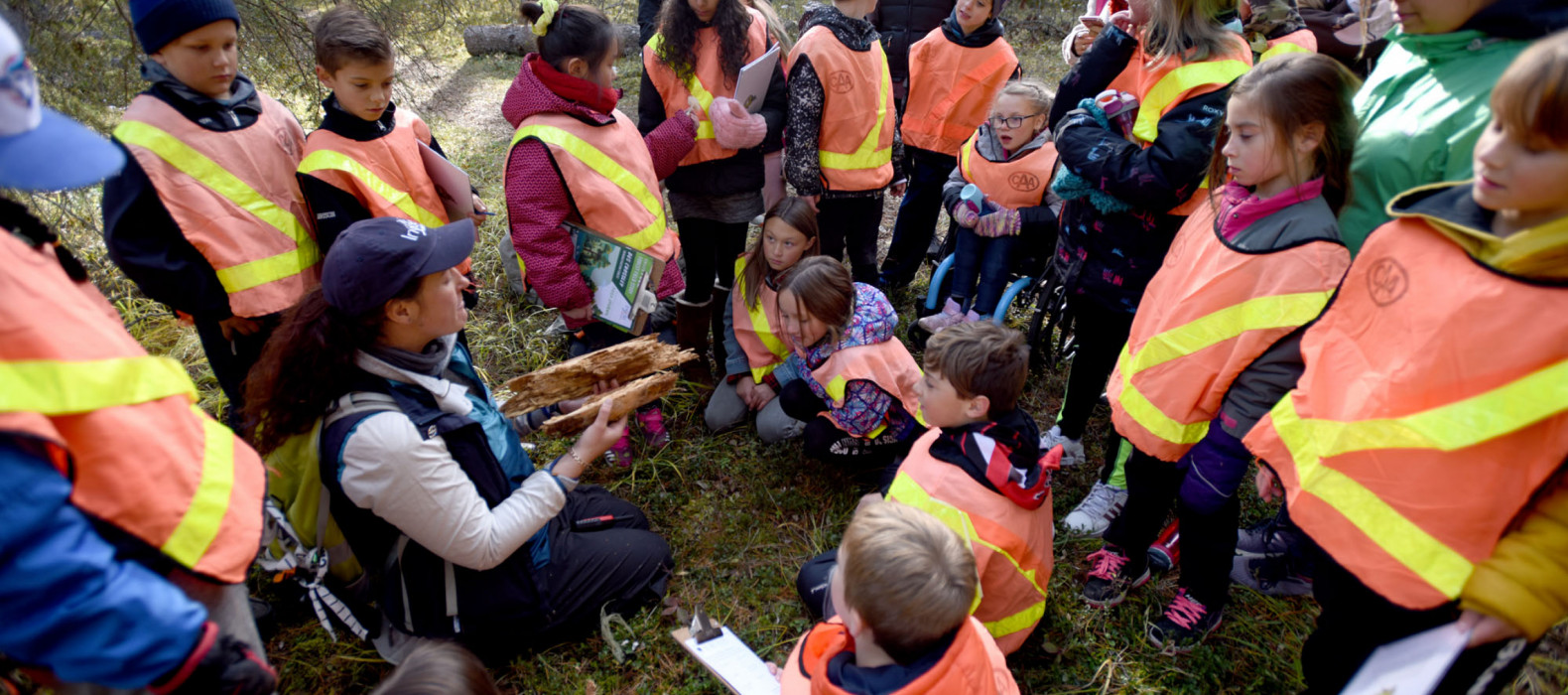 Des Crossley Demonstration Forest | Inside Education
