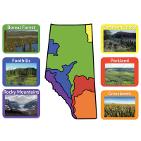 Elementary Classroom Programs | Inside Education